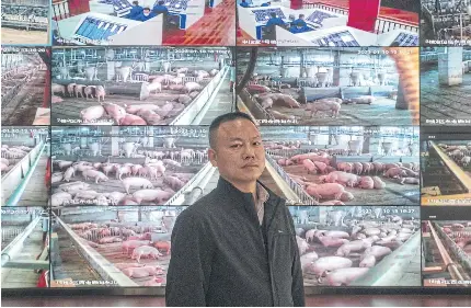 Pigs in towers: China seeks self-sufficienc­y - PressReader