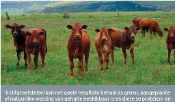 Rond kalwers só af op groen veld - PressReader