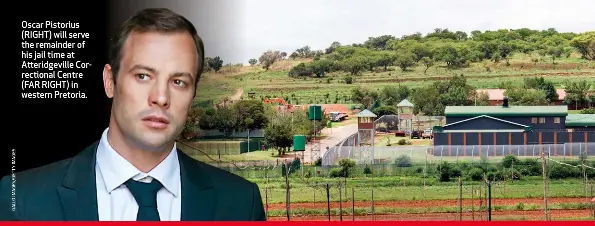 GREENER PASTURES - PressReader