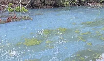 Precaution advised as algal blooms persist on Lake Hartwell - PressReader