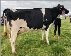 Wyllie family duo takes the lead - PressReader