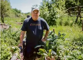 At 76, Ronnie Cummins, organic food activist - PressReader