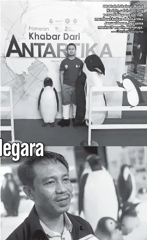 Penguin comel di Muzium Negara - PressReader