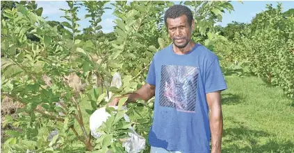 Farmer Finds Success with Resilient Crops - PressReader