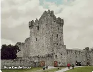 Brave the outdoors - PressReader