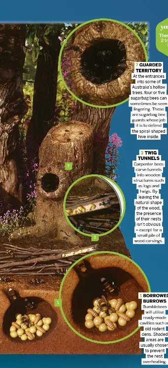 Did you know? - PressReader