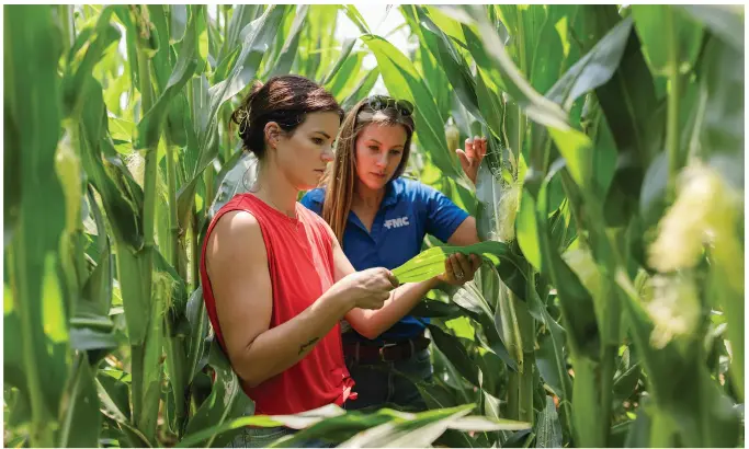 Trying a New Tar Spot Protection - PressReader