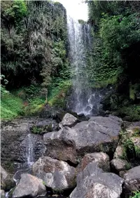 My Favourite Walk: Vivian Falls main attraction in Harker Reserve ...