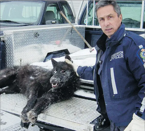 ARE B.C.’S CONSERVATI­ON OFFICERS BECOMING AN ENDANGERED SPECIES ...