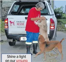 Unleashing potential in dogs - PressReader