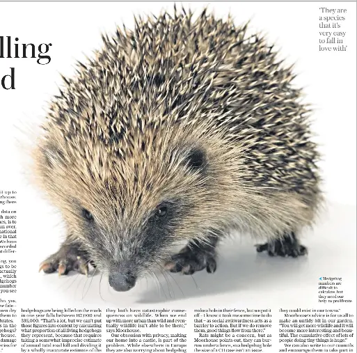 The cult of tidiness is killing a much-loved creature - PressReader