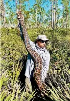 Record-breaking python captured in Florida - PressReader