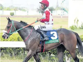 Is That A Fact for I’msatisfied Trophy - PressReader