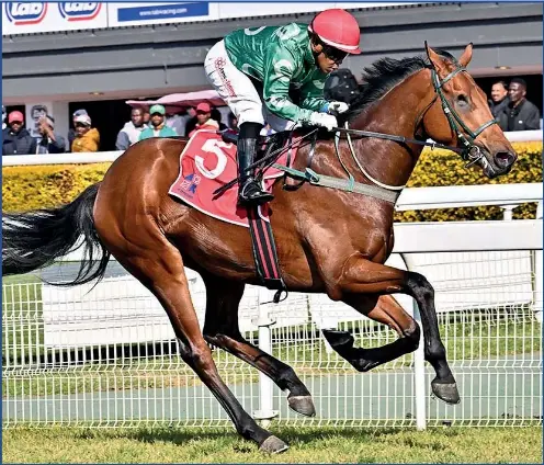Palace Prince can lay down the law | The Weekend Witness | PressReade­r