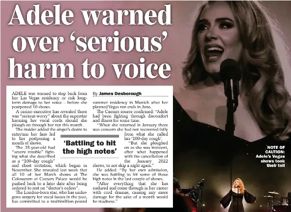 Adele warned over ‘serious’ harm to voice - PressReader
