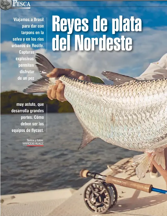 Reyes de plata del Nordeste. - PressReader