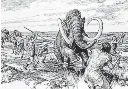 ‘Hunt for big meals drove mammoths to extinction’ | The I paper ...