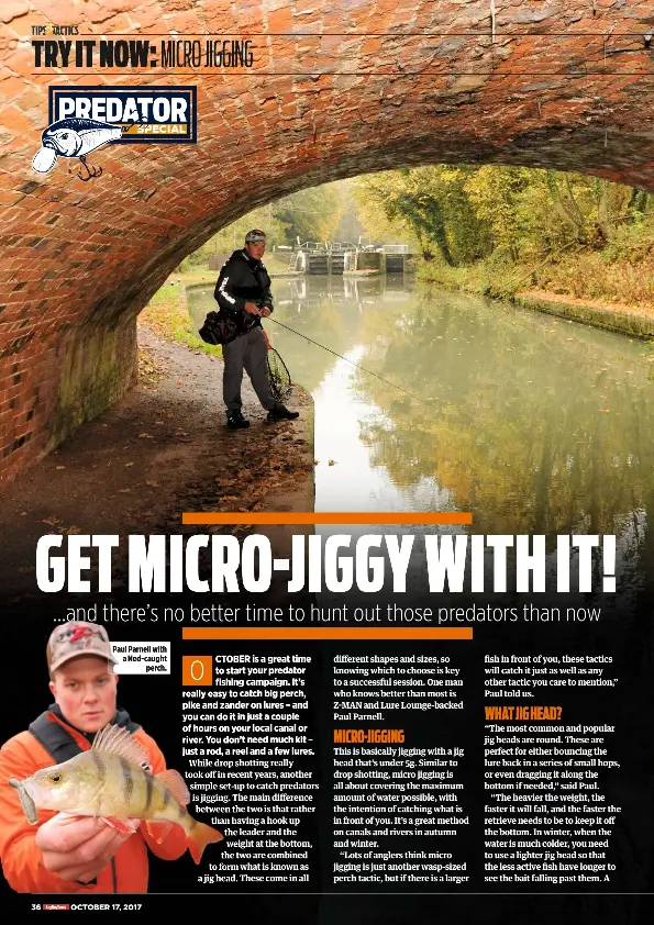 How to set up a simple lure rig and catch bigger perch - Paul Parnell’s ...