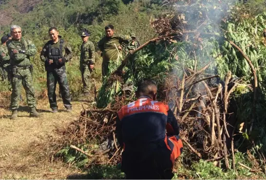 P10 – M weed burned - PressReader
