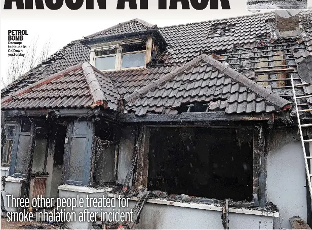 MAN BURNED & DOG KILLED IN ARSON ATTACK | Irish Daily Mirror | PressReade­r