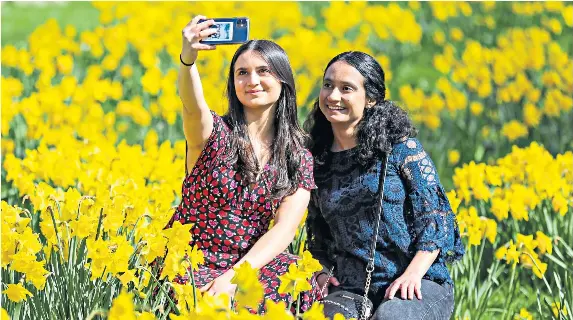 Spring to life - PressReader