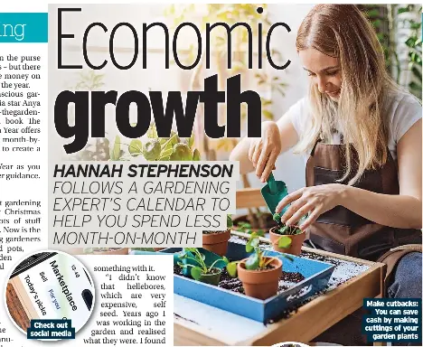 FOLLOWS A GARDENING EXPERT’S CALENDAR TO HELP YOU SPEND LESS MONTH-ON-MONTH - PressReader