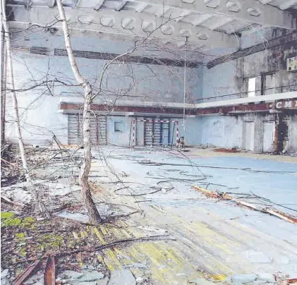 Flores en Chernóbil, la vida en los paisajes posthumano­s - PressReader