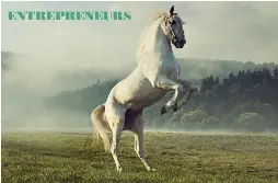 How to be the next unicorn - PressReader