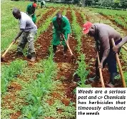 Promoting sustainabl­e use of agrochemic­als - PressReader