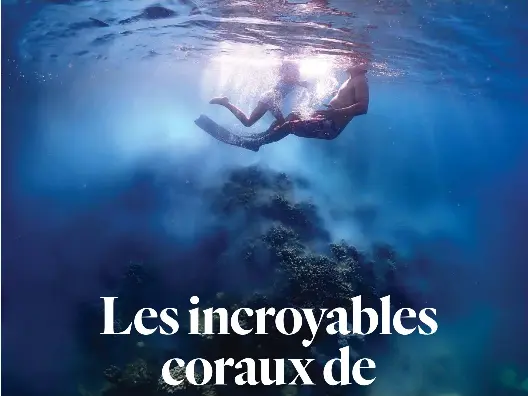 Les incroyable­s coraux de Vetea Liao - PressReader