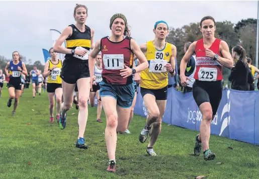 Harriers stars on fine form - PressReader