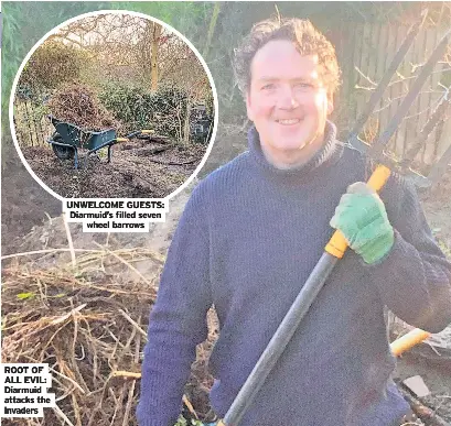 A root awakening - PressReader