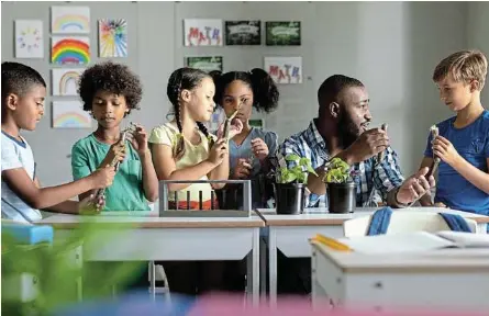 Students’ power to share knowledge must be harnessed - PressReader