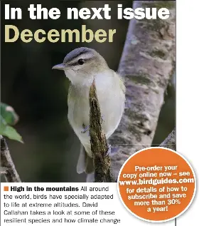 In the next issue December - PressReader