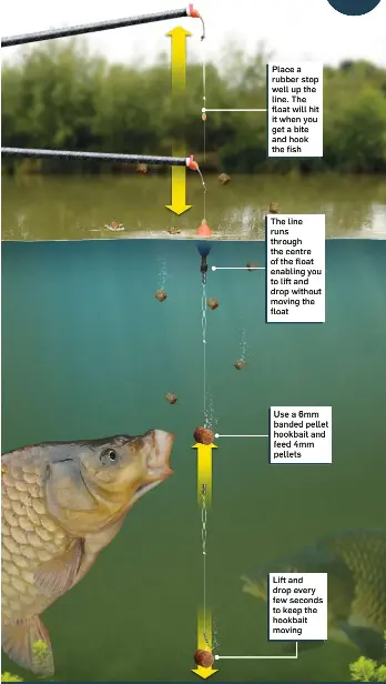 How to fish a jigga float correctly - PressReader