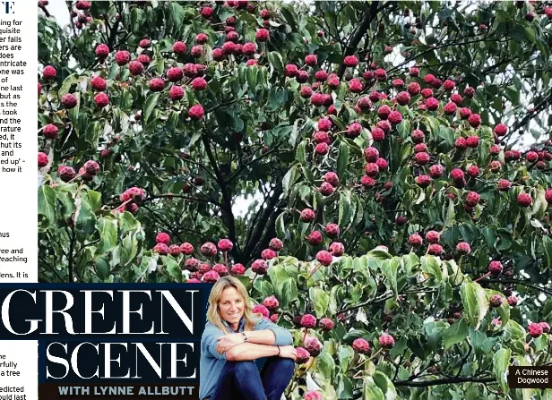 GREEN SCENE - PressReader