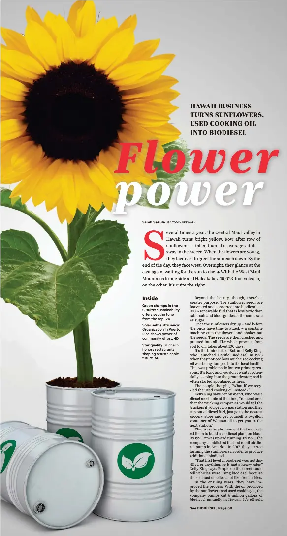 Flower power - PressReader