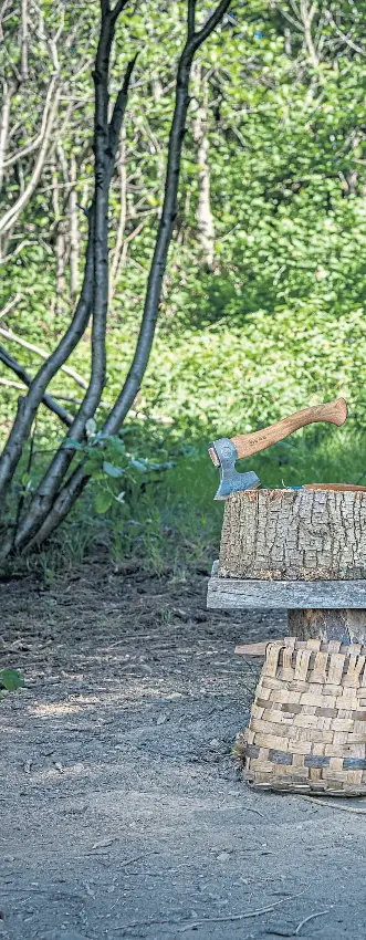 Wooden spoon is a rich reward - PressReader