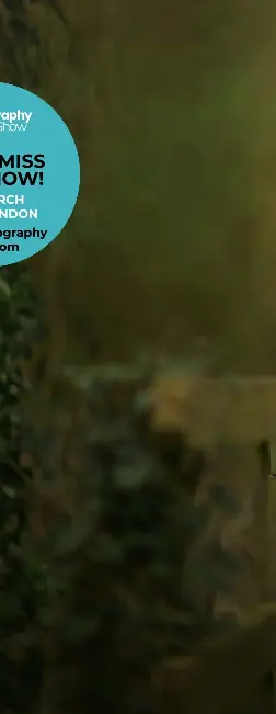 Making memorable family portraits - PressReader