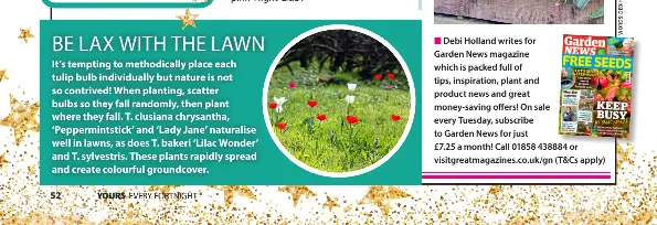BE LAX WITH THE LAWN - PressReader