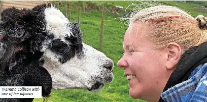 Alpaca trekking business forced to restock after disease outbreak ...