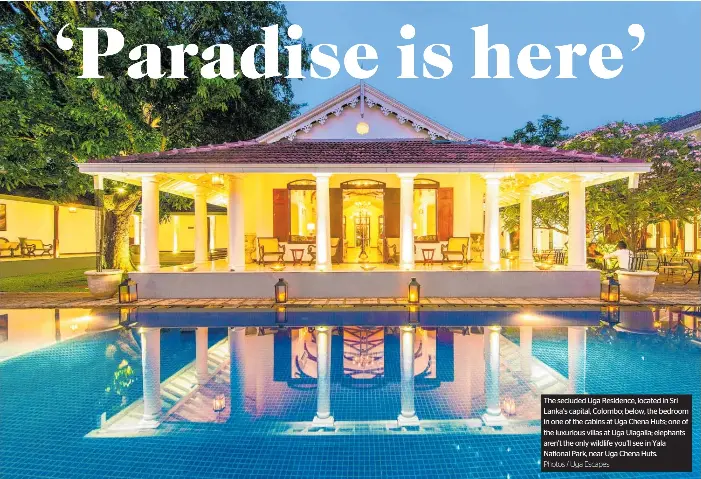 ‘Paradise is here’ - PressReader