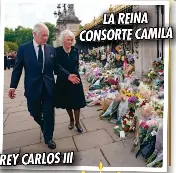 LA REINA CONSORTE CAMILA - PressReader
