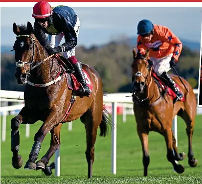 Brassil beams as Fastorslow upsets odds to strike Gold - PressReader