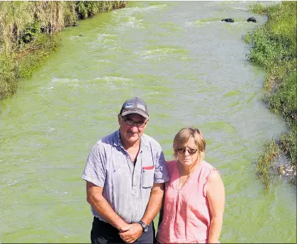 Algal bloom turns lake green - PressReader