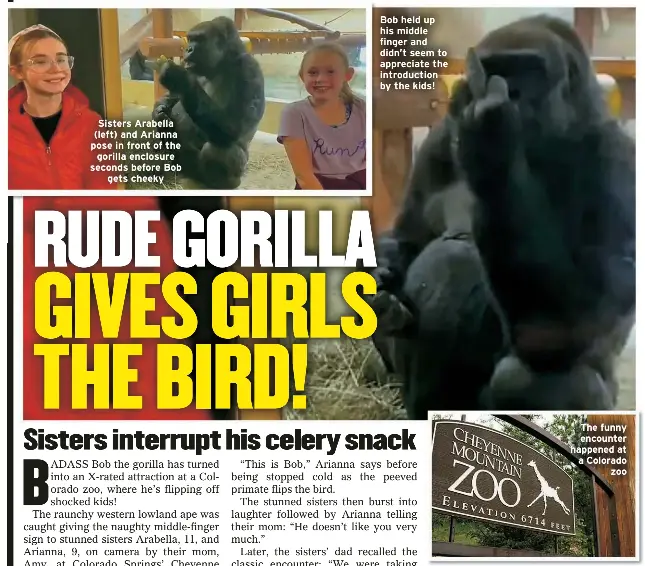RUDE GORILLA GIVES GIRLS THE BIRD! - PressReader