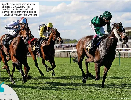 Envoy can prove to be Regal winner for Knight at Windsor - PressReader