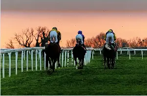 At The Races - PressReader