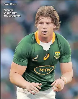 Evan Roos thrilled to be back in Springbok fold - PressReader