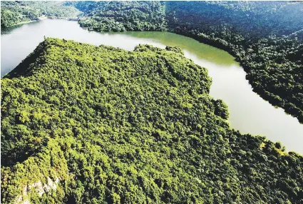 Un llamado a la reconcilia­ción con la naturaleza - PressReader